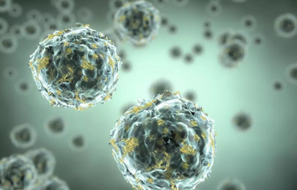 Types of HPV Warts: Navigating Diversity for Skin Health | Gynin