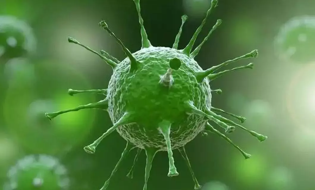 What Causes Green Discharge From the Vagina? | Gynin